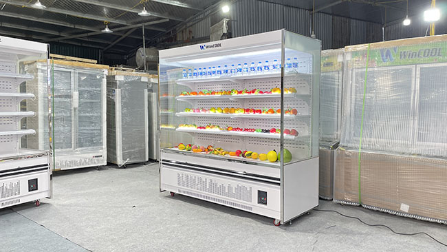 Tủ mát bằng không khí 1235l 1 chế độ dài 2m tiết kiệm điện