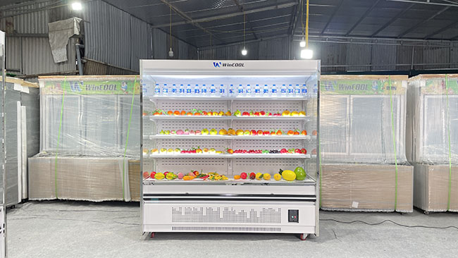 Tủ mát bằng không khí 1235l 1 chế độ dài 2m tiết kiệm điện